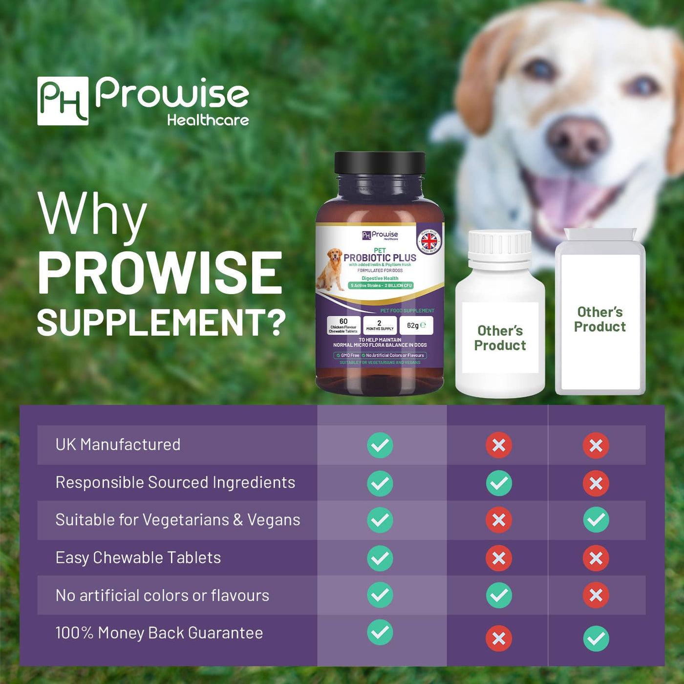Prowise Pet Probiotic Plus with Added Inulin & Psyllium Husk 2 Billi ...