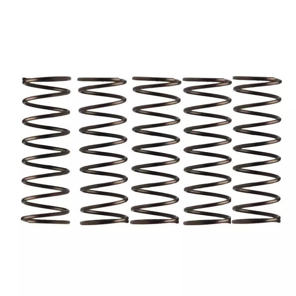 Campagnolo Pawl spring for Cassette FW — bananaindustries