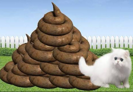 A big mountain of utter shite for £50 — bananaindustries